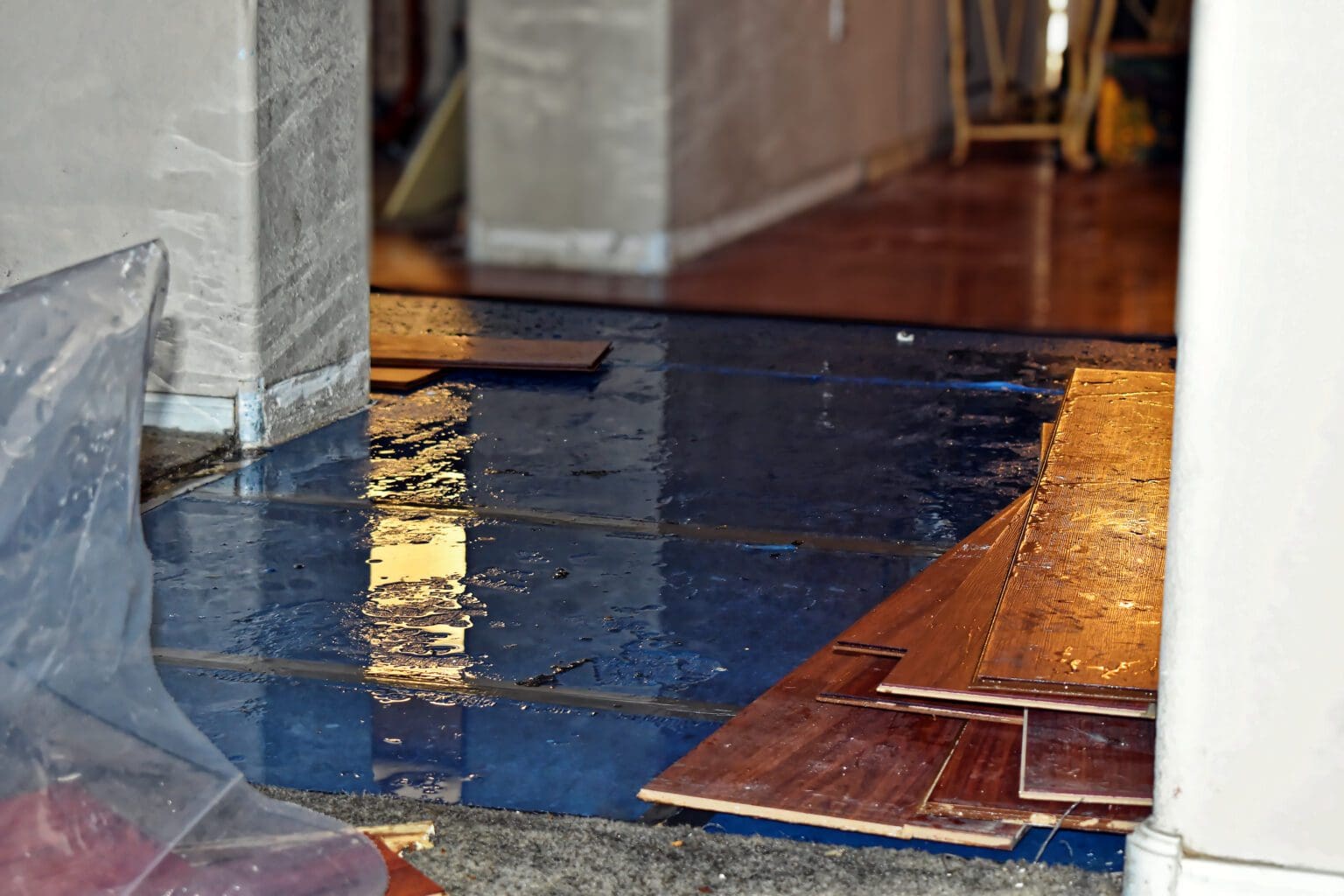 How Much Is A Home Inspection? (Water Damage & Mold Remediation) | All ...